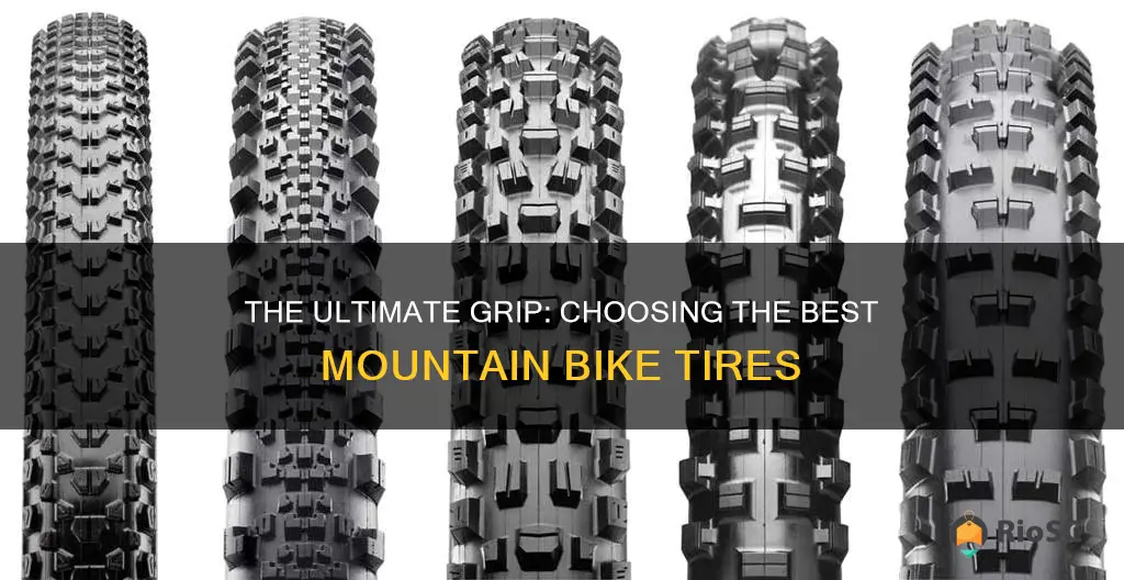 The Ultimate Grip: Choosing The Best Mountain Bike Tires | Riosc