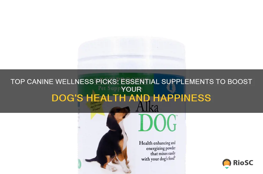 Top Canine Wellness Picks: Essential Supplements To Boost Your Dog's ...