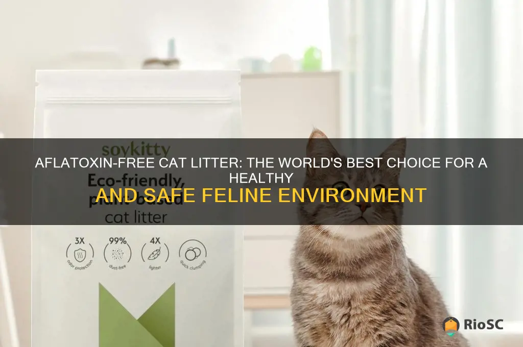 Aflatoxin-Free Cat Litter: The World's Best Choice For A Healthy And ...