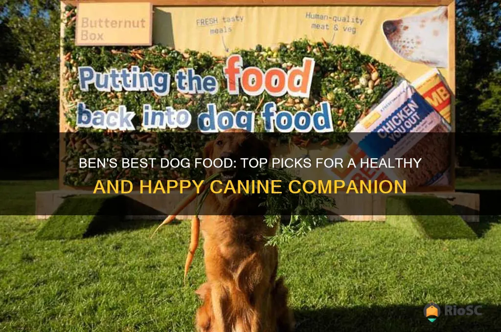 Ben's Best Dog Food: Top Picks For A Healthy And Happy Canine Companion ...