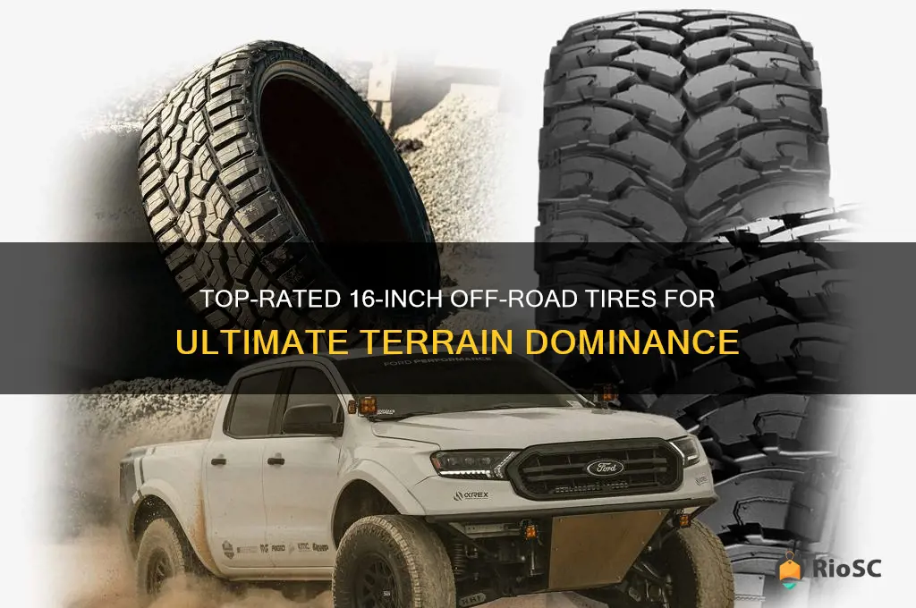 Top-Rated 16-Inch Off-Road Tires For Ultimate Terrain Dominance | Riosc