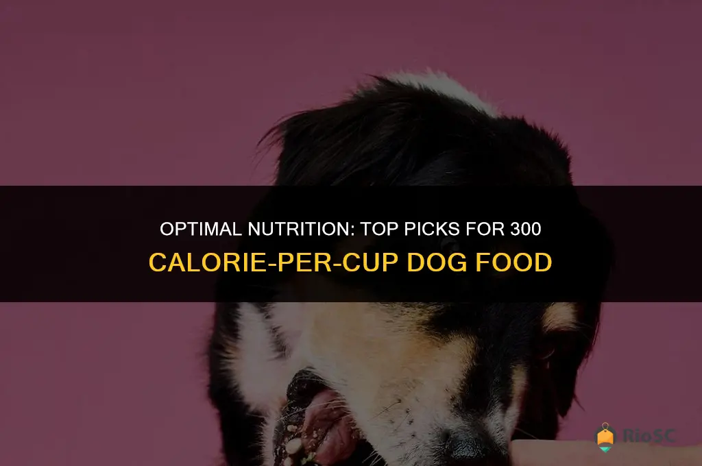 Optimal Nutrition: Top Picks For 300 Calorie-Per-Cup Dog Food | Riosc
