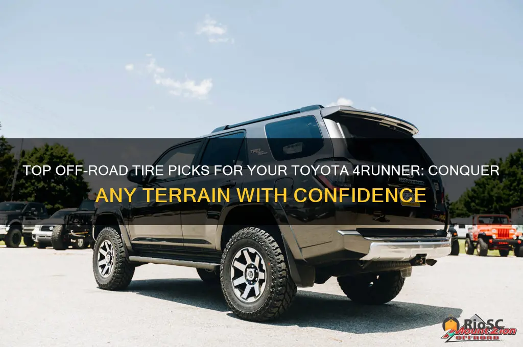Conquer The Road Your Ultimate Guide To Tires To You Hutto Texasfeed