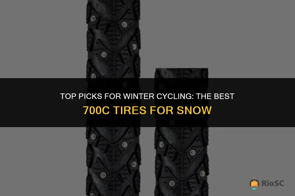Top Picks For Winter Cycling: The Best 700C Tires For Snow | Riosc