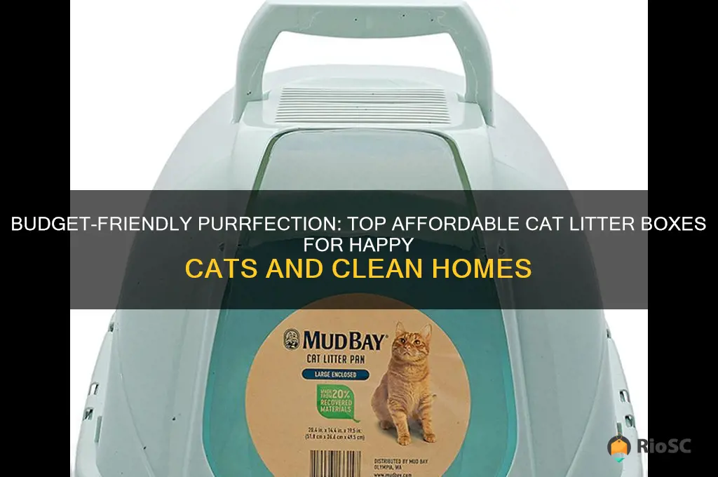 Budget-Friendly Purrfection: Top Affordable Cat Litter Boxes For Happy ...