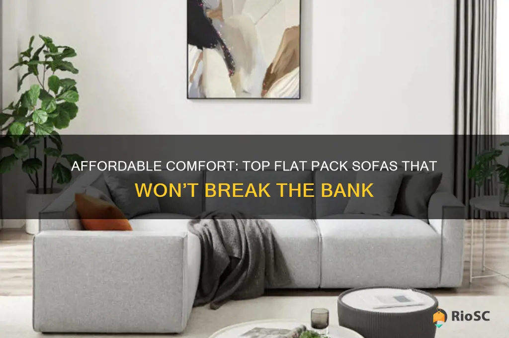 Affordable Comfort: Top Flat Pack Sofas That Won’T Break The Bank | Riosc