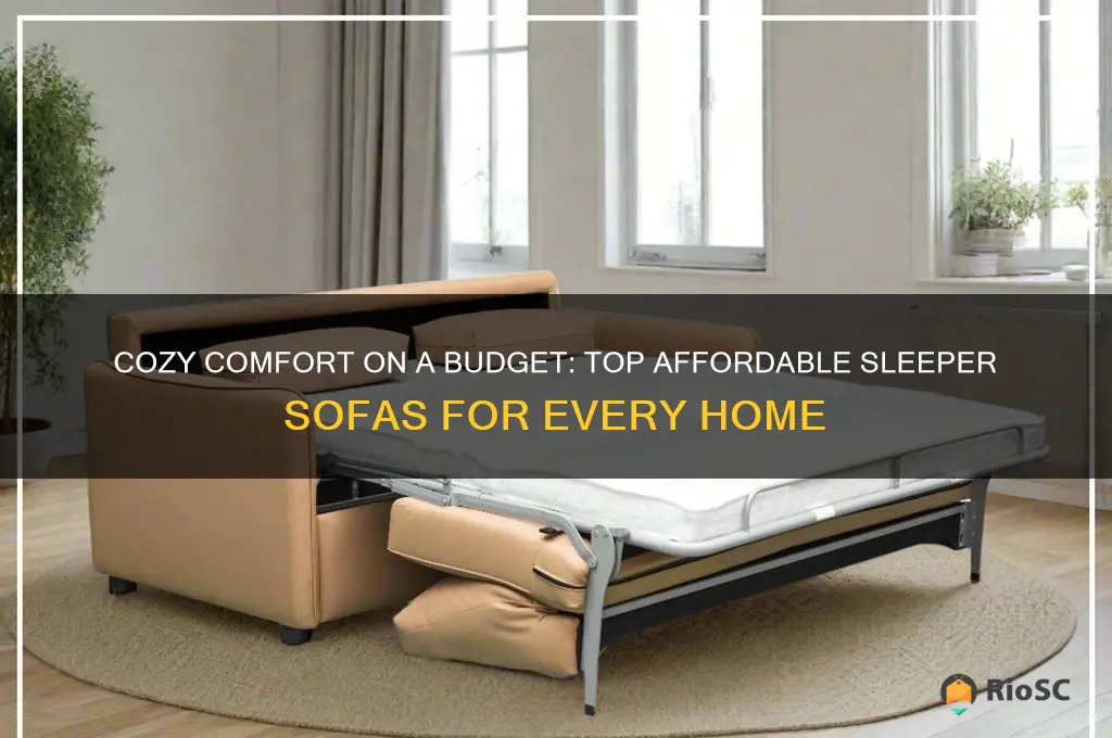 Cozy Comfort On A Budget: Top Affordable Sleeper Sofas For Every Home ...