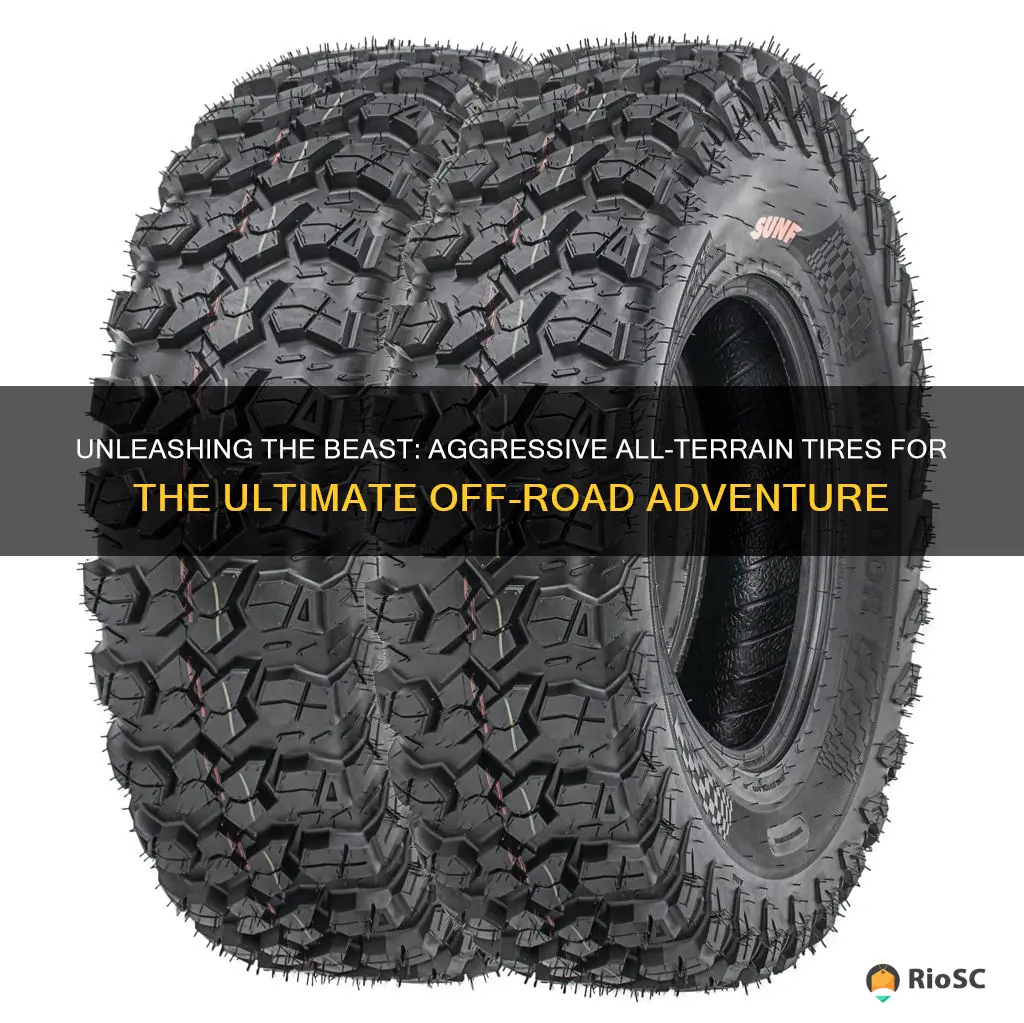 Unleashing The Beast: Aggressive All-Terrain Tires For The Ultimate Off ...