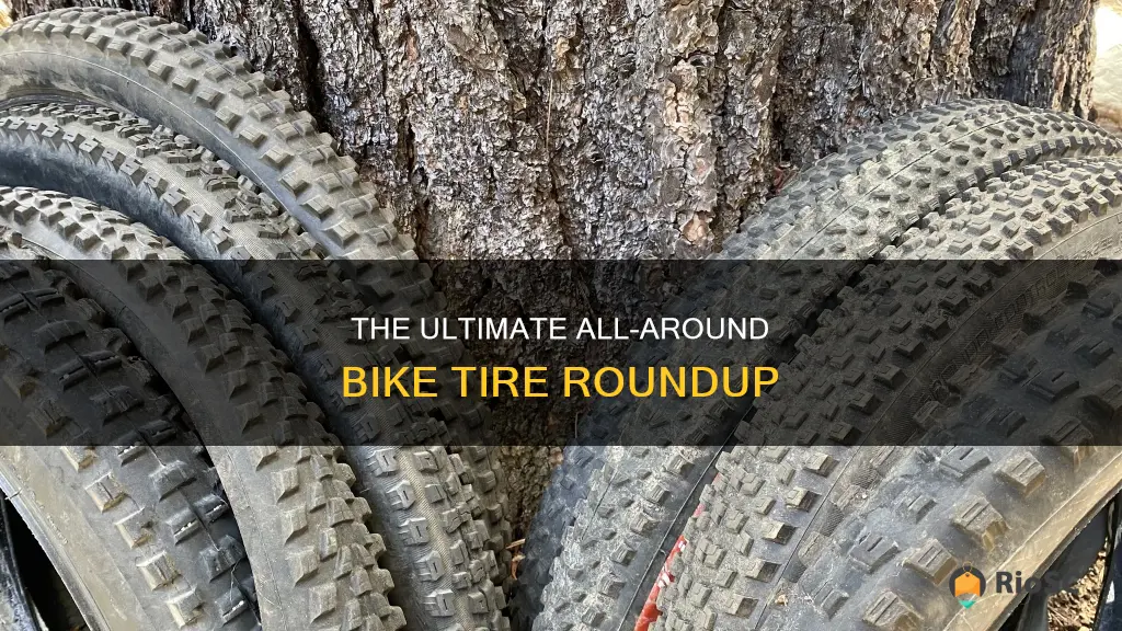 The Ultimate All-Around Bike Tire Roundup | Riosc