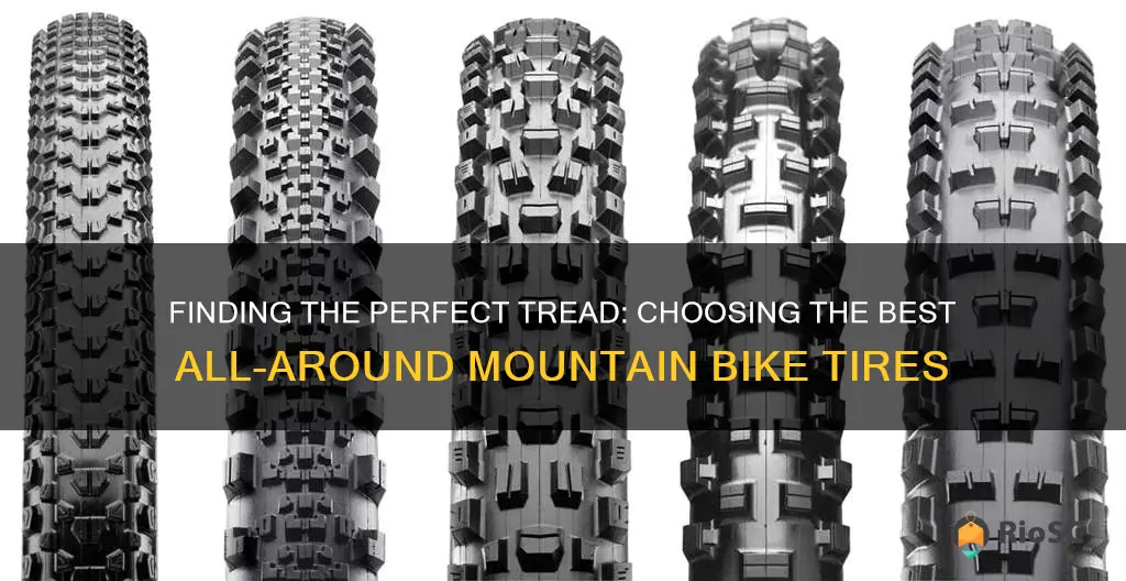 Finding The Perfect Tread: Choosing The Best All-Around Mountain Bike ...