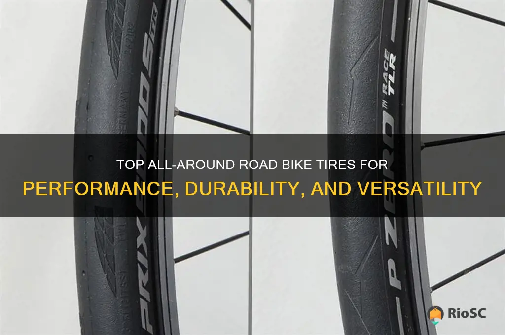 Top All-Around Road Bike Tires For Performance, Durability, And ...