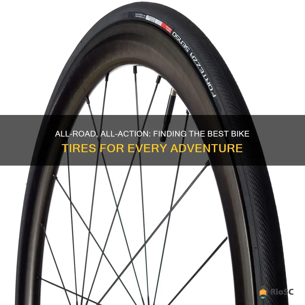 All-Road, All-Action: Finding The Best Bike Tires For Every Adventure ...