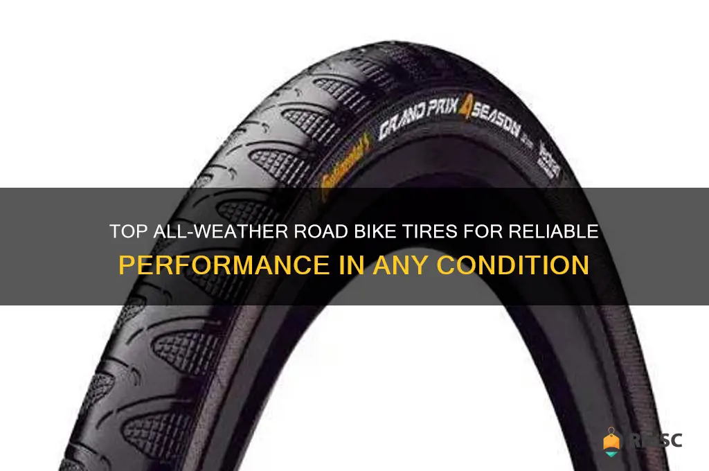 Top All-Weather Road Bike Tires For Reliable Performance In Any ...