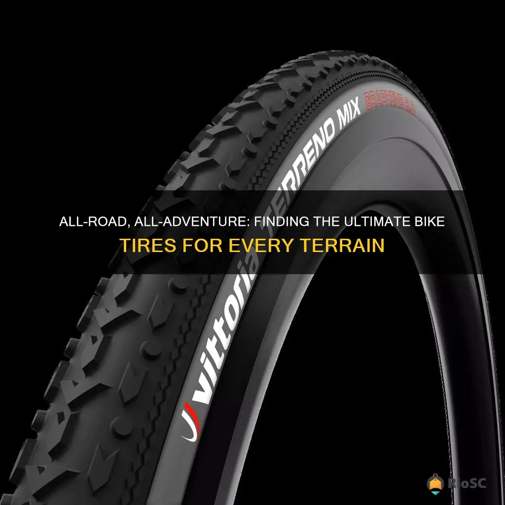 All-Road, All-Adventure: Finding The Ultimate Bike Tires For Every ...
