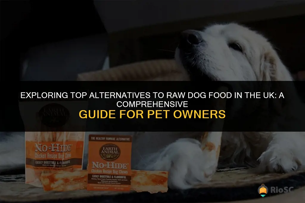 Exploring Top Alternatives To Raw Dog Food In The Uk: A Comprehensive ...