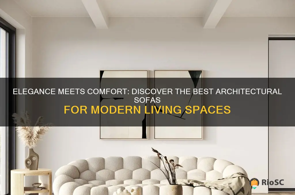 Elegance Meets Comfort: Discover The Best Architectural Sofas For ...