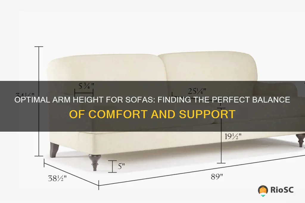 Optimal Arm Height For Sofas: Finding The Perfect Balance Of Comfort ...