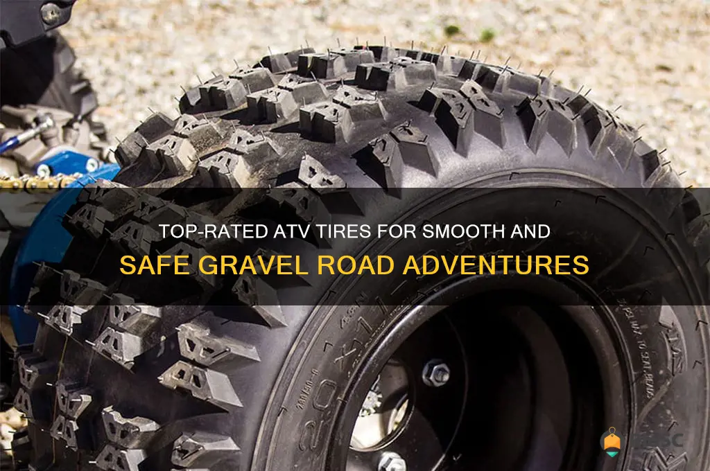 Top-Rated Atv Tires For Smooth And Safe Gravel Road Adventures | Riosc
