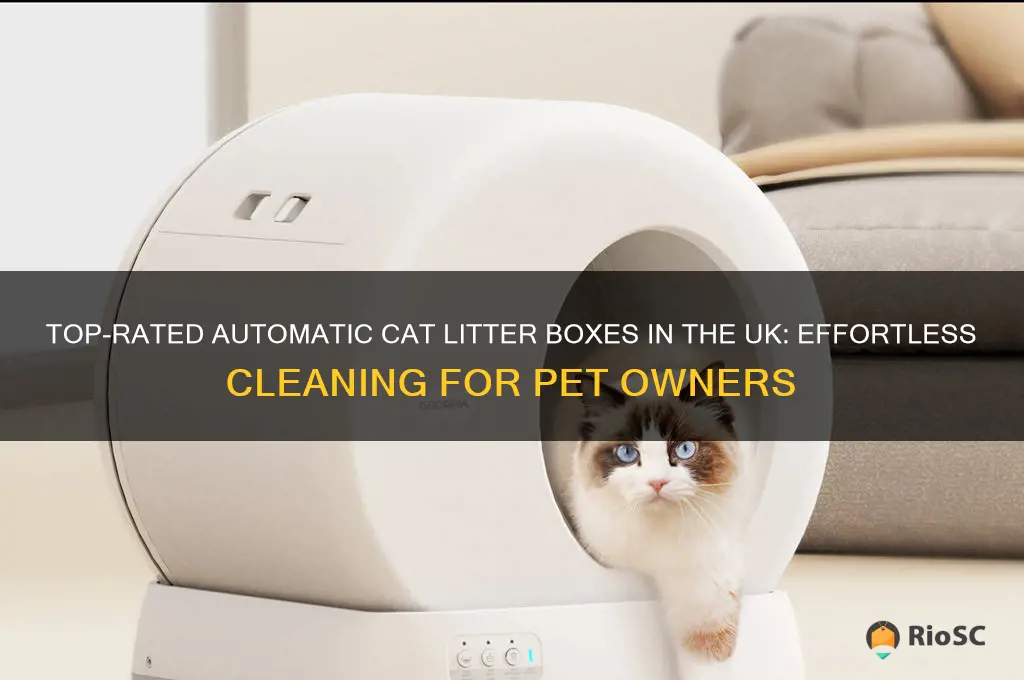 Top-Rated Automatic Cat Litter Boxes In The Uk: Effortless Cleaning For ...