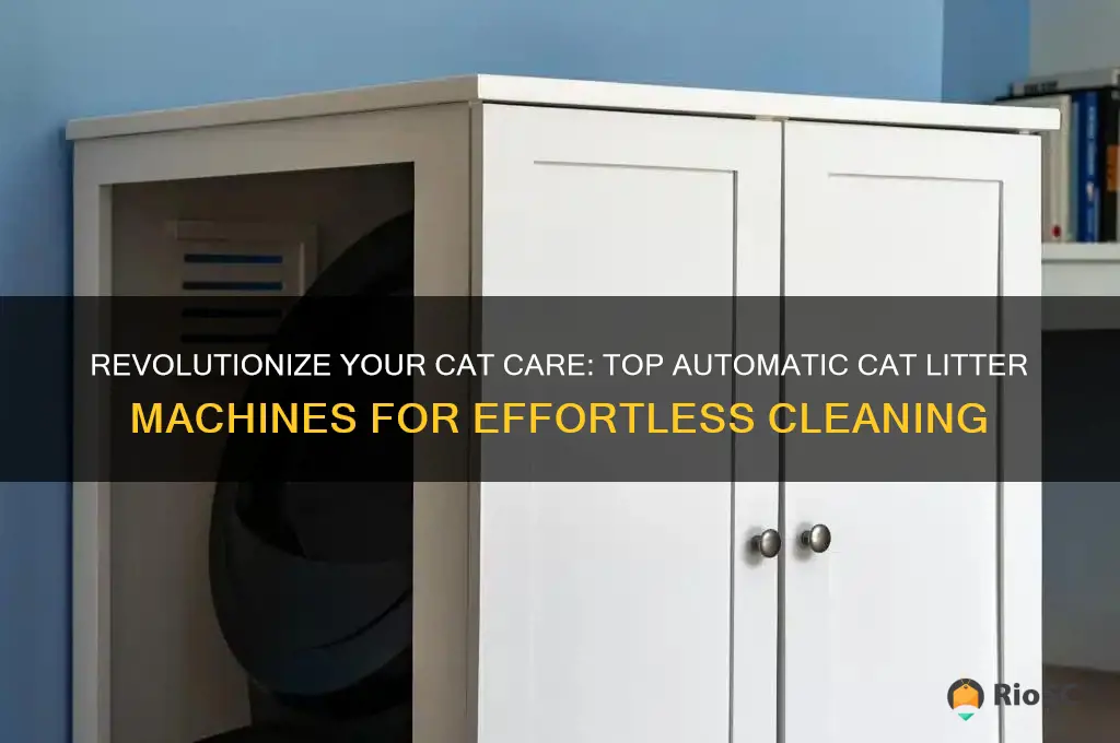 Revolutionize Your Cat Care: Top Automatic Cat Litter Machines For ...