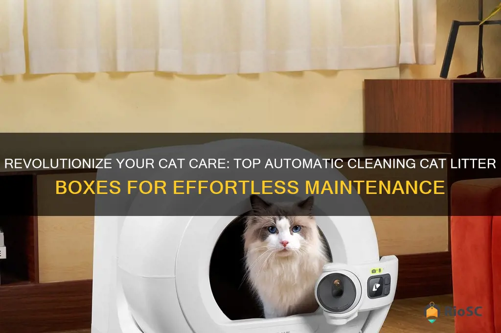 Revolutionize Your Cat Care: Top Automatic Cleaning Cat Litter Boxes ...