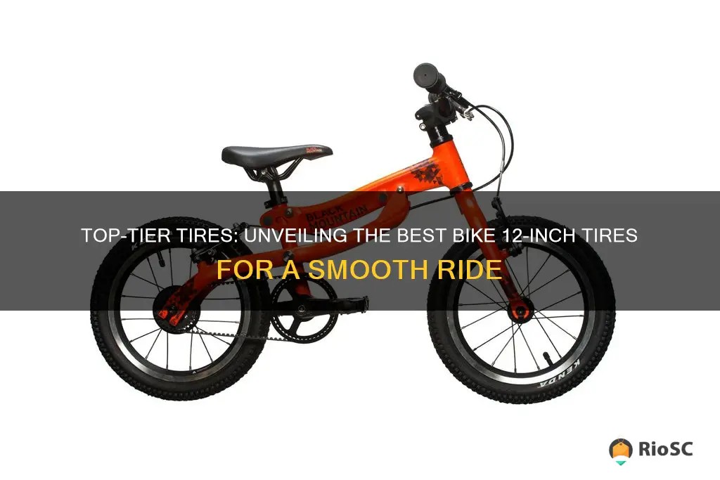 Top-Tier Tires: Unveiling The Best Bike 12-Inch Tires For A Smooth Ride ...