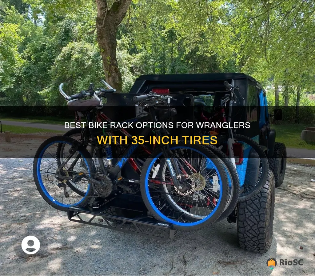 Best Bike Rack Options For Wranglers With 35-Inch Tires | Riosc