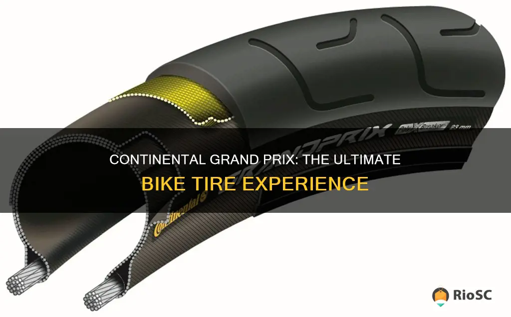 Continental Grand Prix: The Ultimate Bike Tire Experience | Riosc