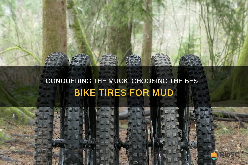 Conquering The Muck: Choosing The Best Bike Tires For Mud | Riosc