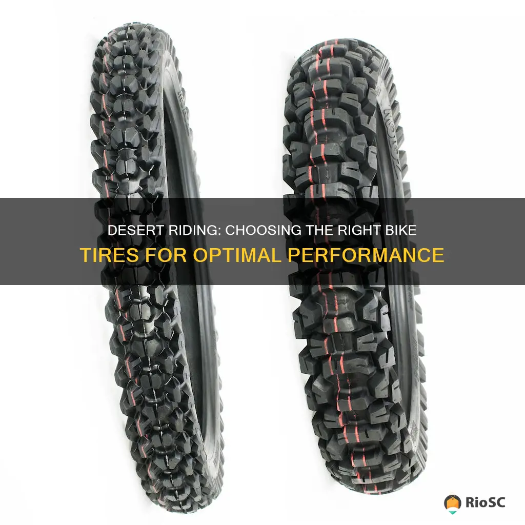 Desert Riding: Choosing The Right Bike Tires For Optimal Performance ...