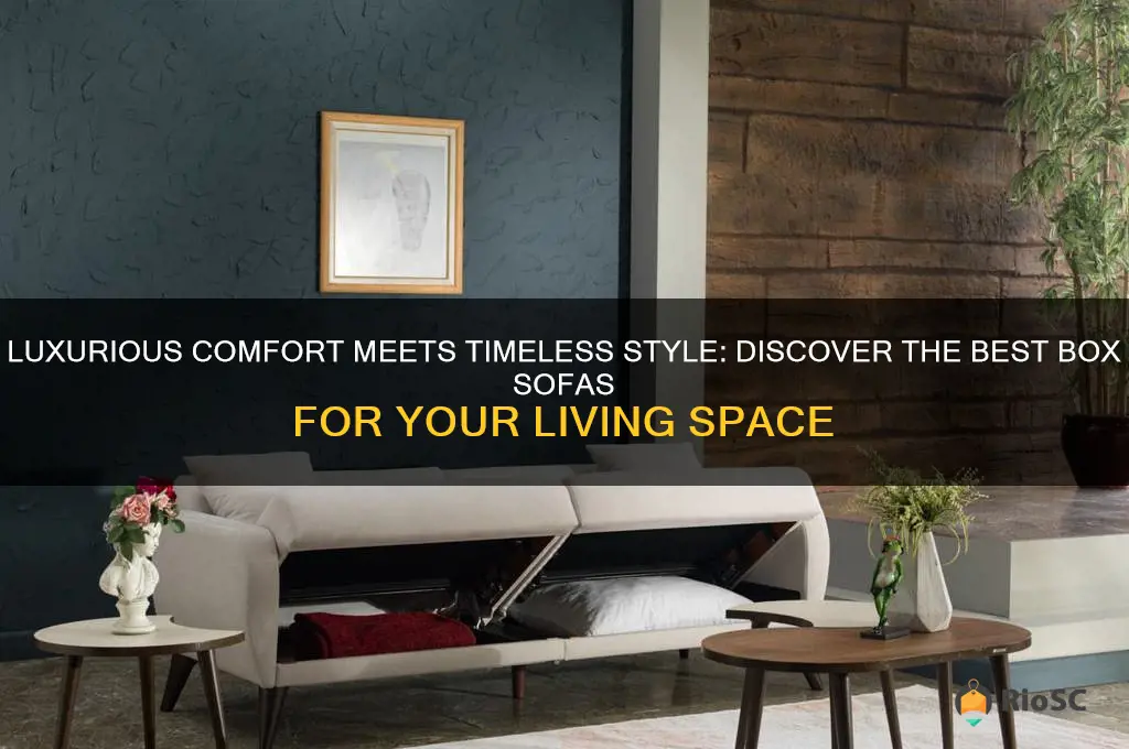 Luxurious Comfort Meets Timeless Style: Discover The Best Box Sofas For ...