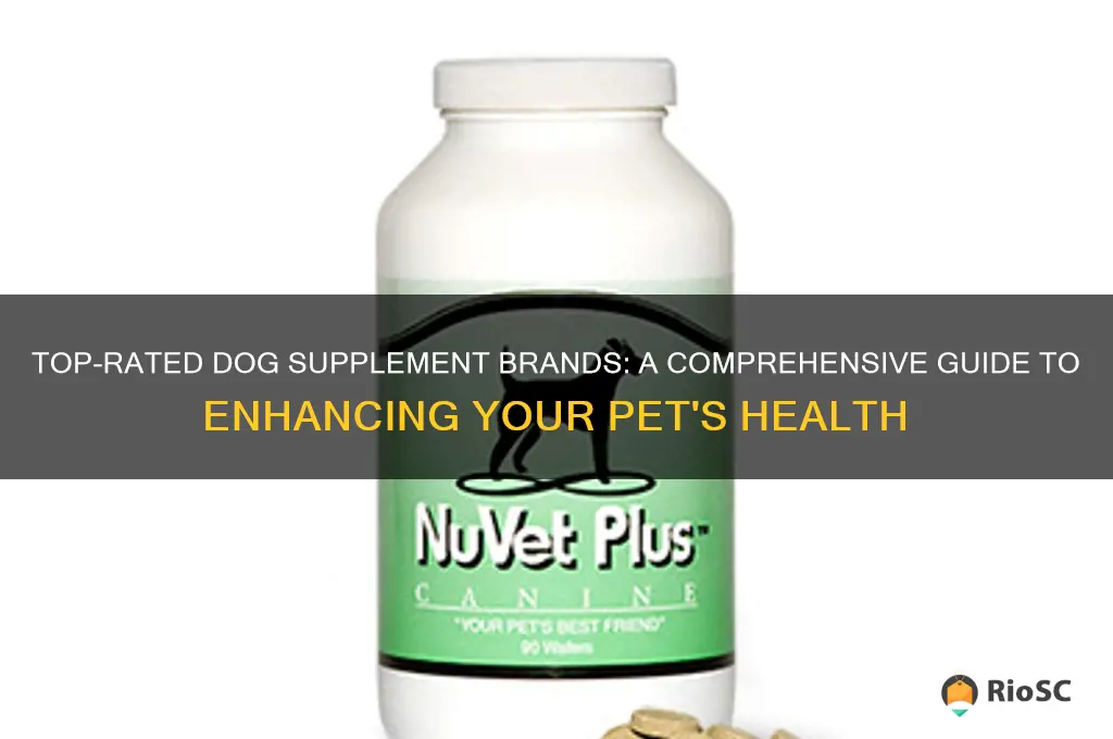 Top-Rated Dog Supplement Brands: A Comprehensive Guide To Enhancing ...