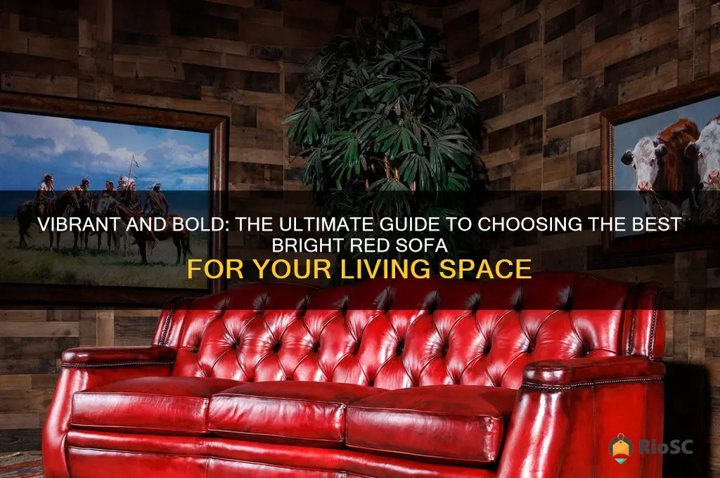Vibrant And Bold: The Ultimate Guide To Choosing The Best Bright Red ...