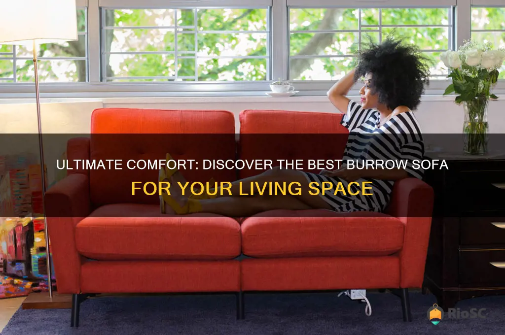 Ultimate Comfort: Discover The Best Burrow Sofa For Your Living Space ...