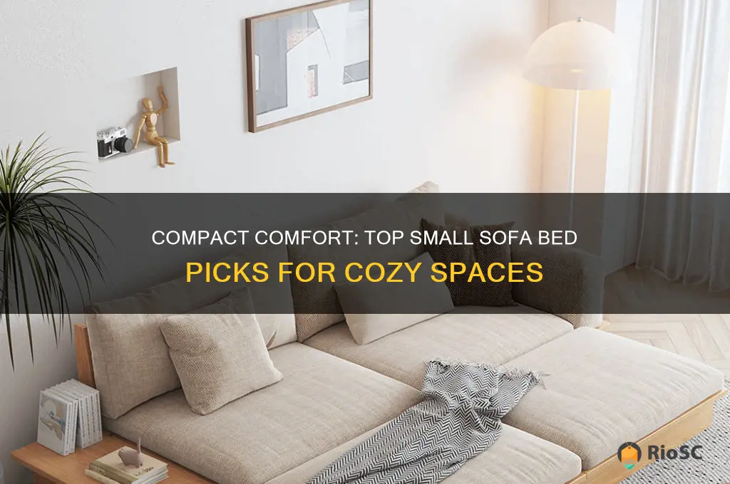Compact Comfort: Top Small Sofa Bed Picks For Cozy Spaces | Riosc