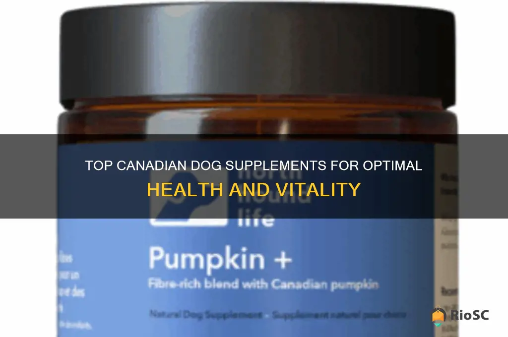 Top Canadian Dog Supplements For Optimal Health And Vitality | Riosc