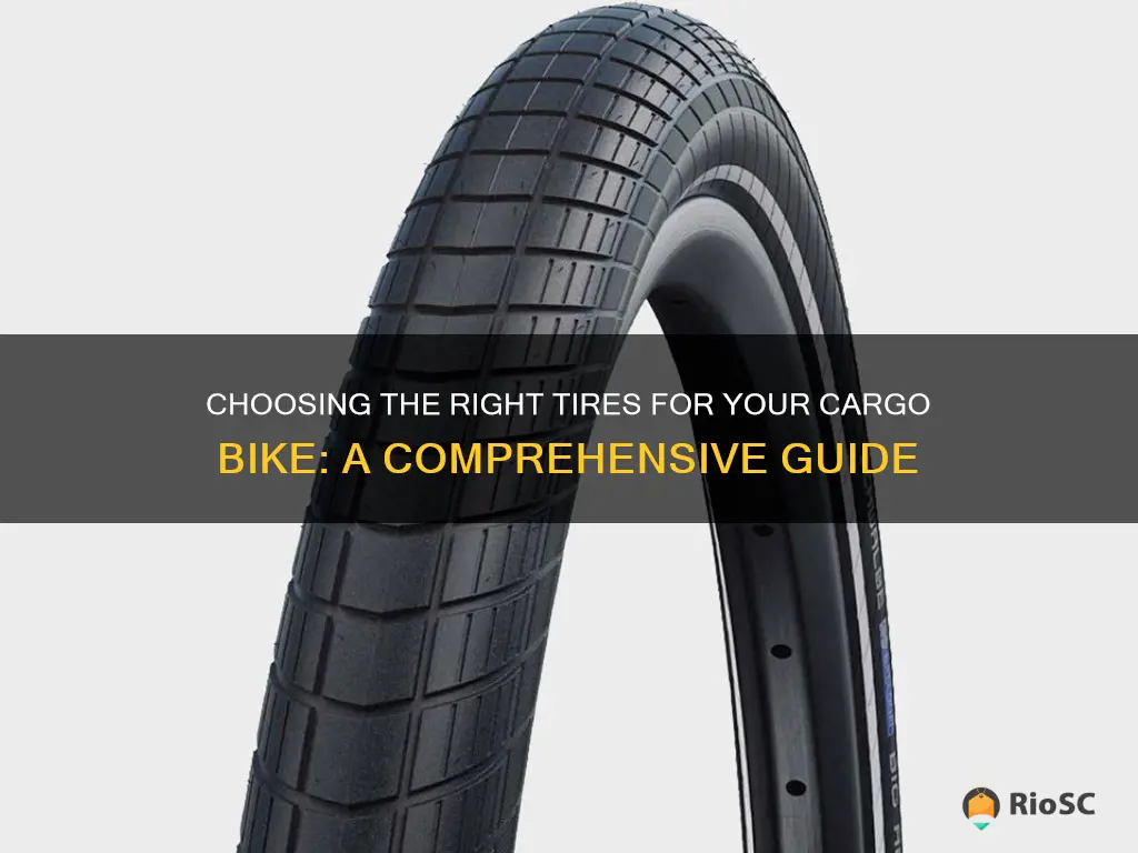 Choosing The Right Tires For Your Cargo Bike: A Comprehensive Guide | Riosc