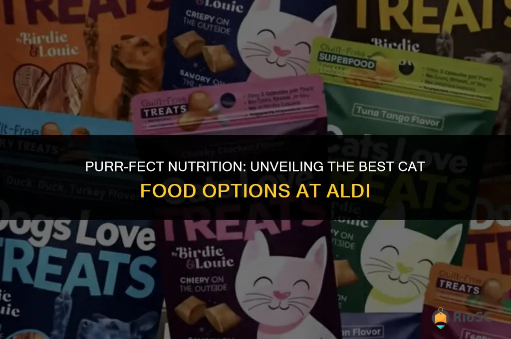 Purr-Fect Nutrition: Unveiling The Best Cat Food Options At Aldi | Riosc