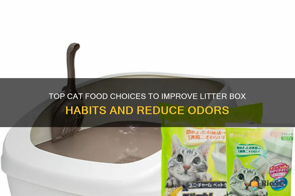 Top Cat Food Choices To Improve Litter Box Habits And Reduce Odors | Riosc