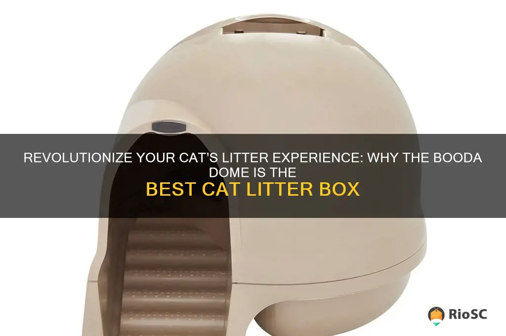 Revolutionize Your Cat’S Litter Experience: Why The Booda Dome Is The ...