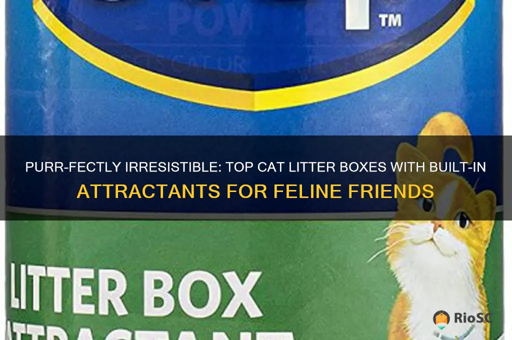 Purr-Fectly Irresistible: Top Cat Litter Boxes With Built-In ...