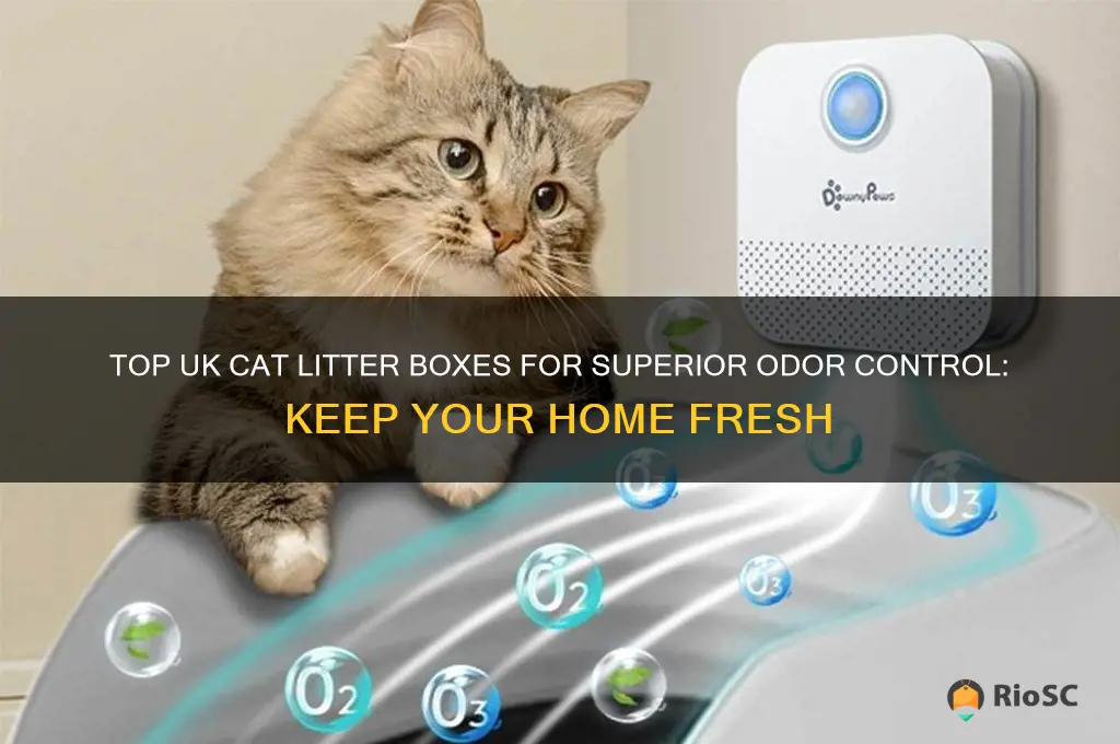 Top Uk Cat Litter Boxes For Superior Odor Control: Keep Your Home Fresh ...