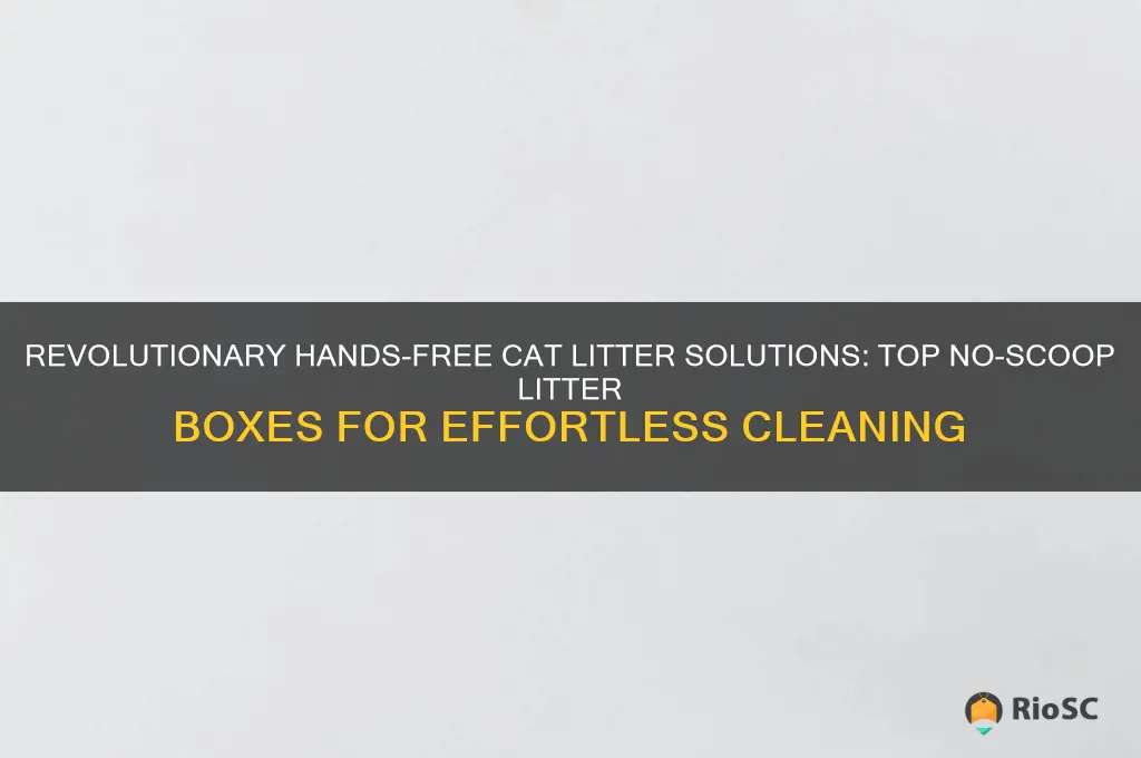 Revolutionary Hands-Free Cat Litter Solutions: Top No-Scoop Litter ...