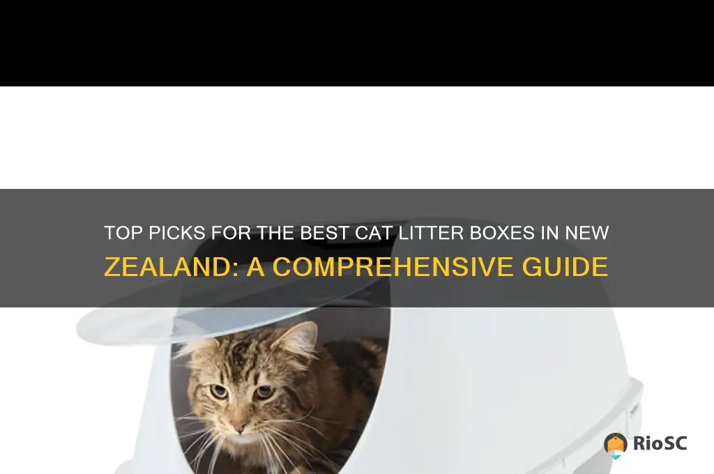Top Picks For The Best Cat Litter Boxes In New Zealand: A Comprehensive ...