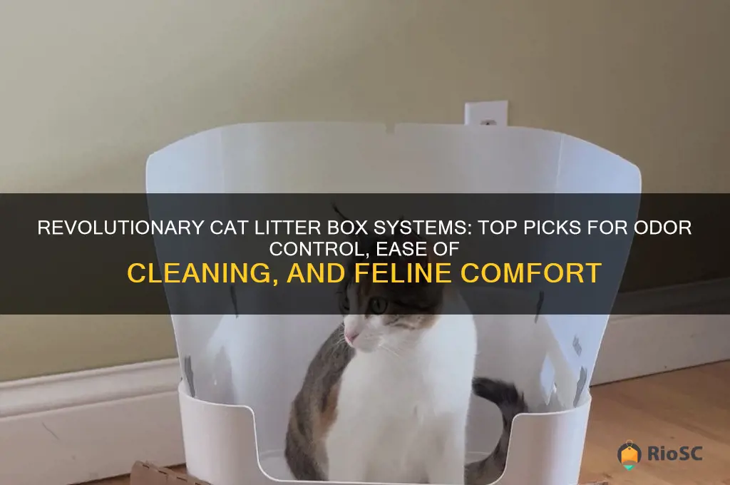 Revolutionary Cat Litter Box Systems: Top Picks For Odor Control, Ease ...