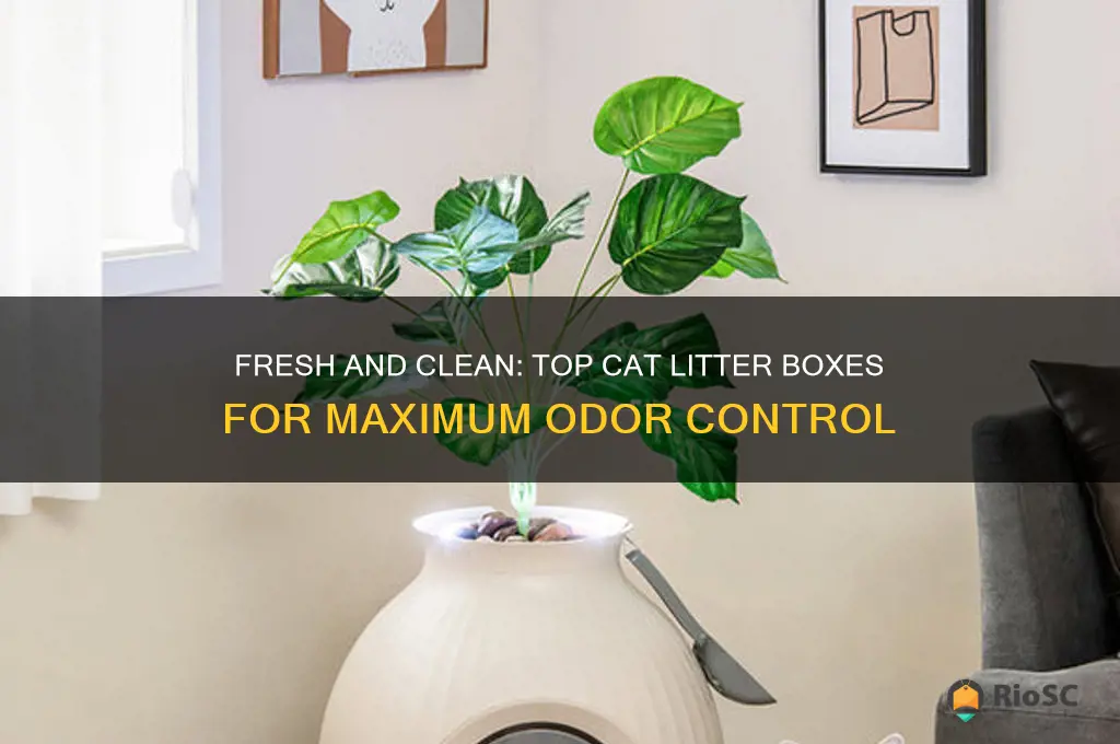Fresh And Clean: Top Cat Litter Boxes For Maximum Odor Control | Riosc