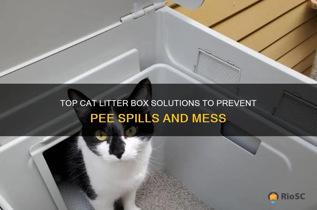Top Cat Litter Box Solutions To Prevent Pee Spills And Mess | Riosc