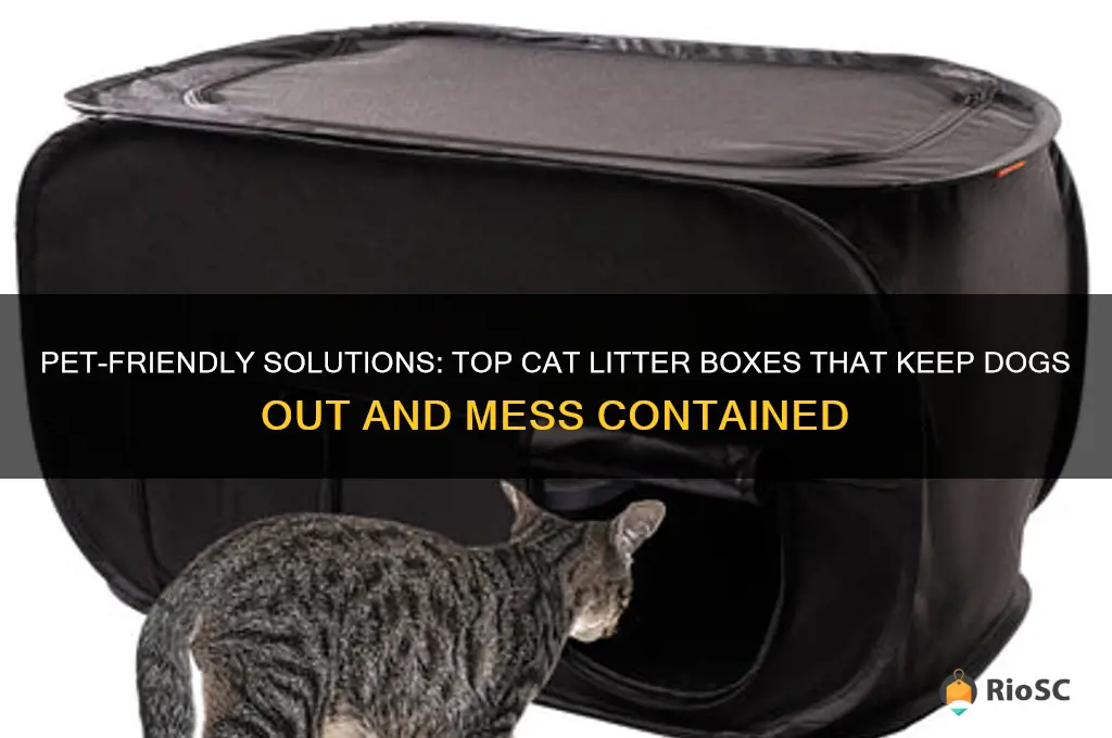 Pet-Friendly Solutions: Top Cat Litter Boxes That Keep Dogs Out And ...