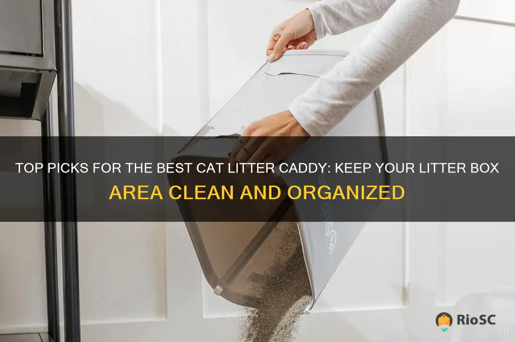 Top Picks For The Best Cat Litter Caddy: Keep Your Litter Box Area ...