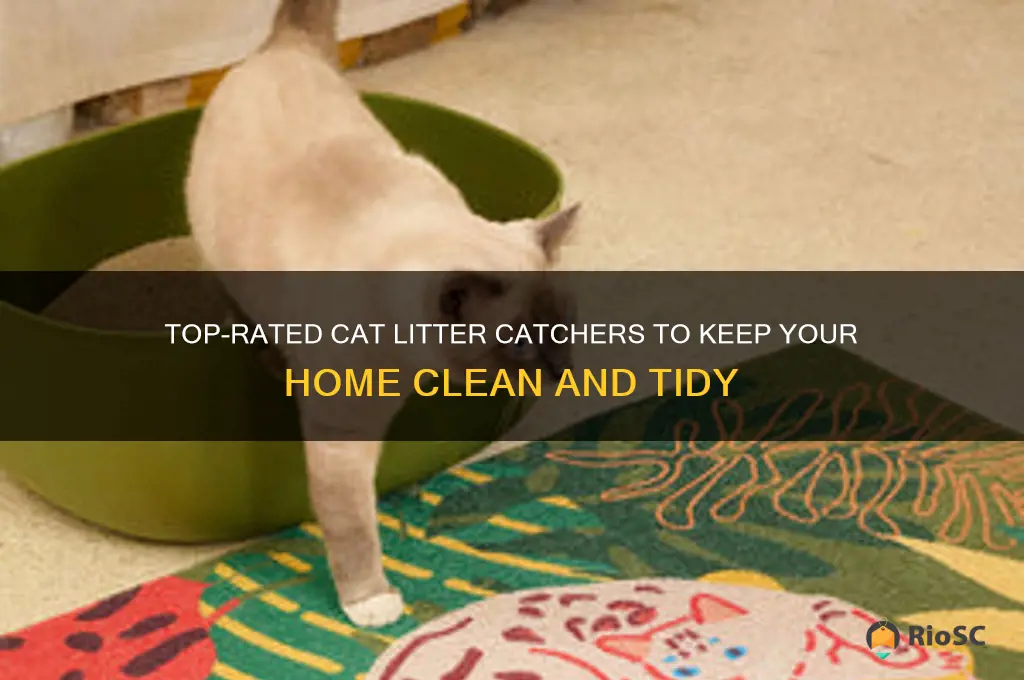 Top-Rated Cat Litter Catchers To Keep Your Home Clean And Tidy | Riosc